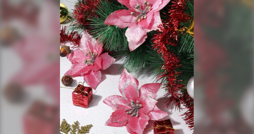 Tammy Shannon - Reeder-Davis Funeral Home