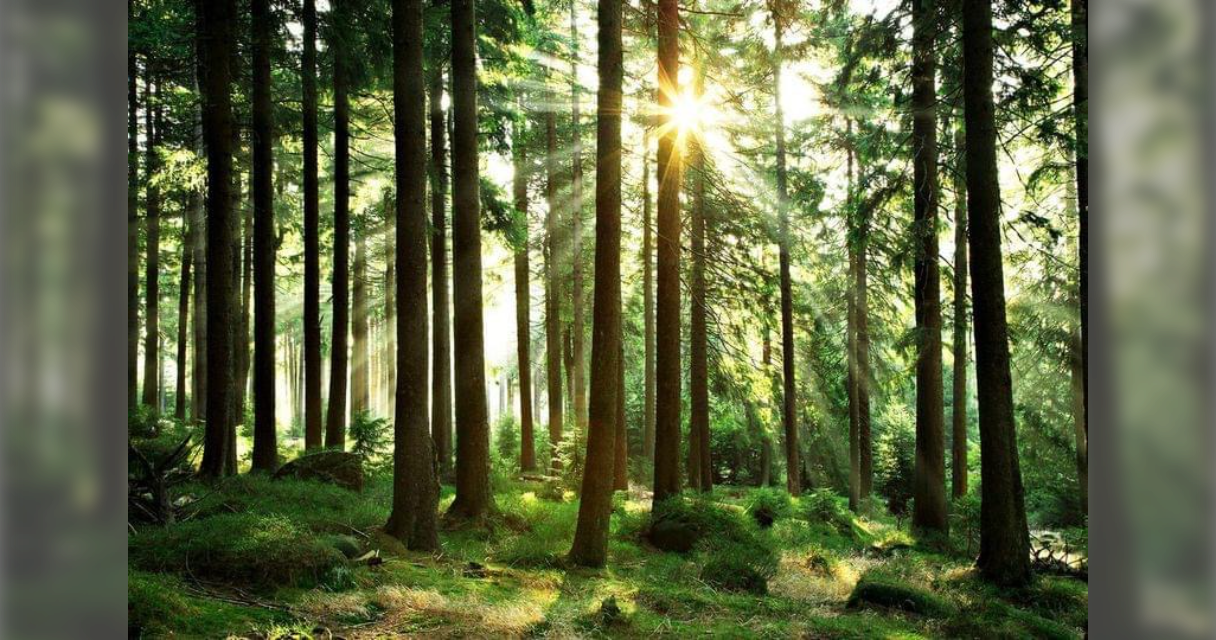 Patrick Jolly - Reeder-Davis Funeral Home