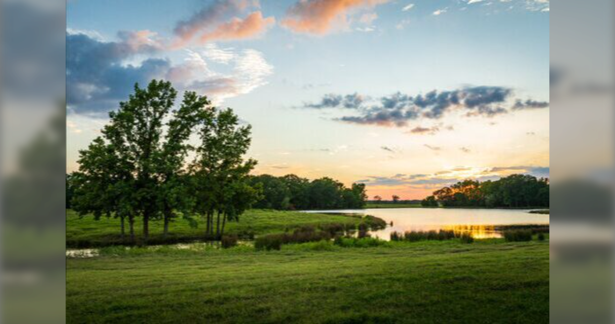 Kevin Patrick Strange - Reeder-Davis Funeral Home